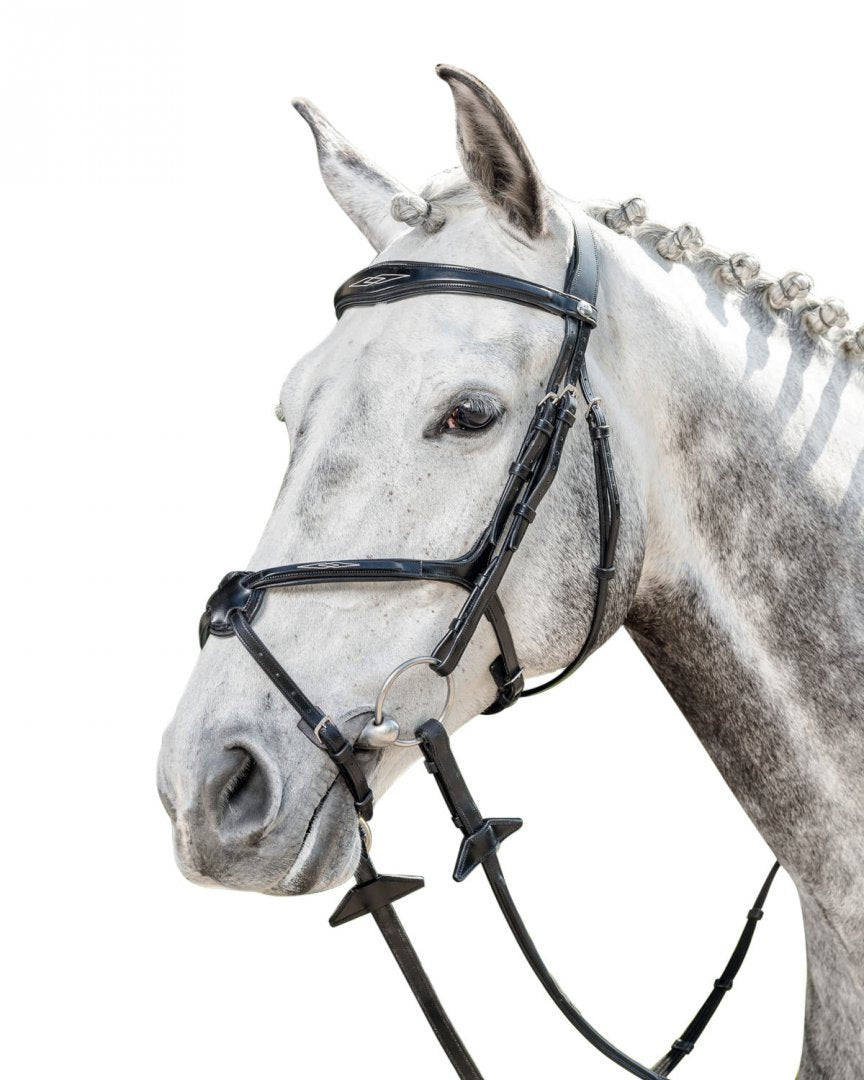 Prestige Anatomic Mexican Bridle – Brighton Saddlery