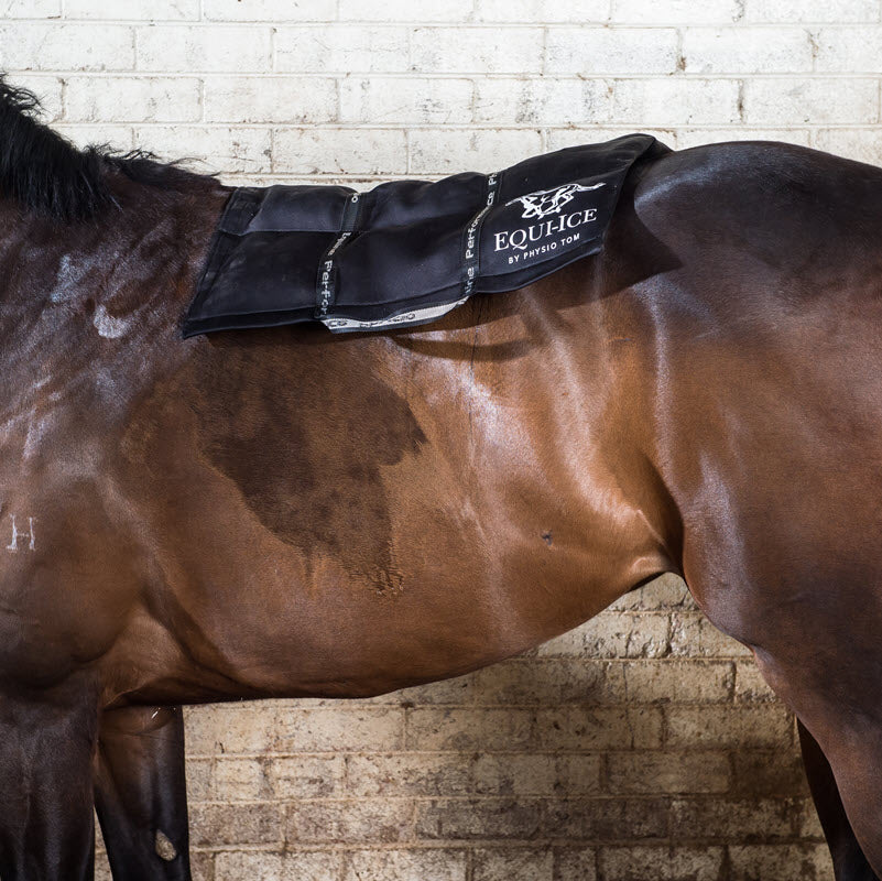 Equi-Ice Advanced Equine Cold Therapy Pack – Brighton Saddlery